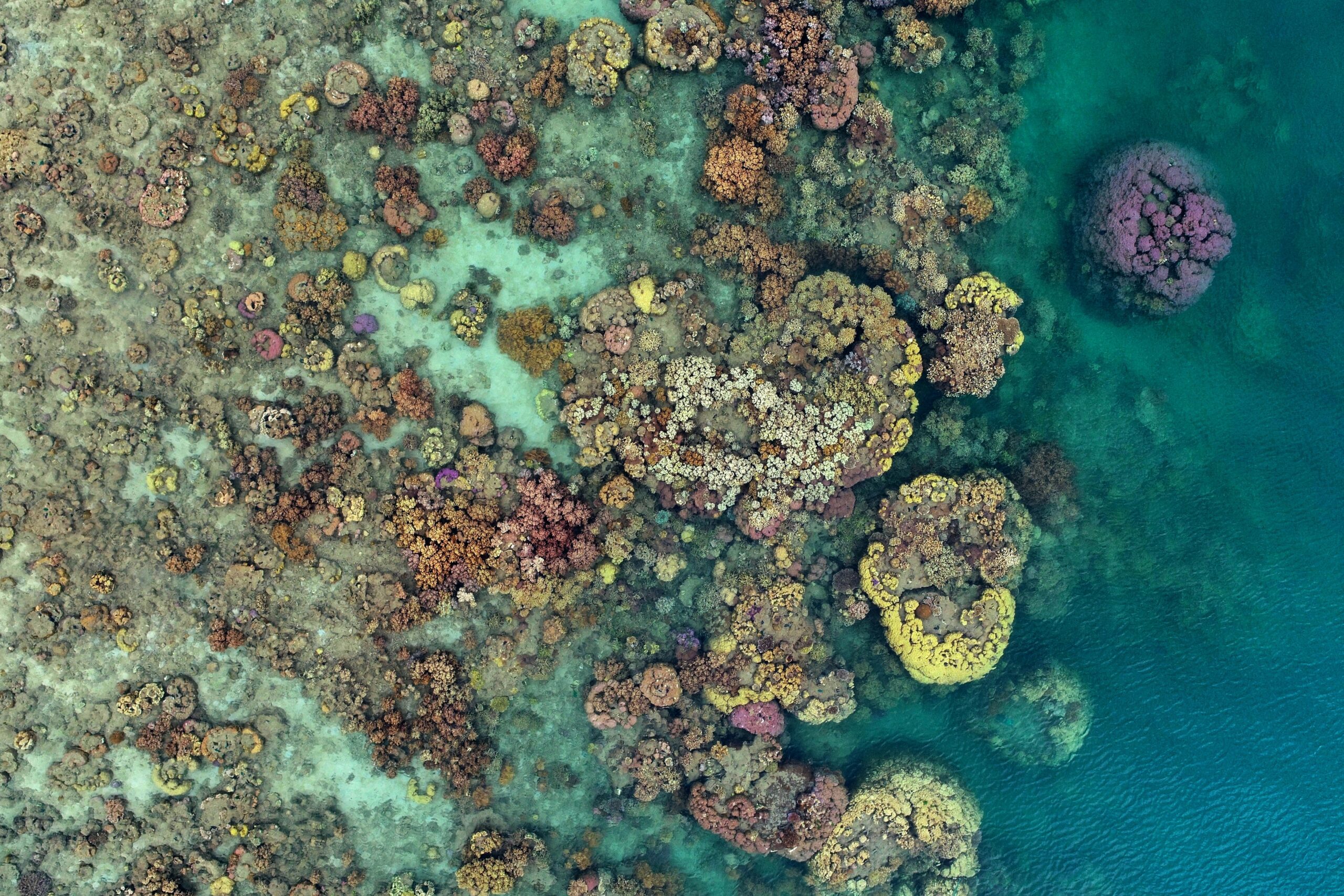 New spray research could help shield Great Barrier Reef